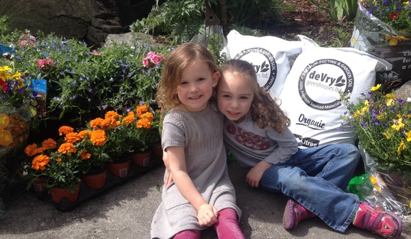 Glendon School Playground Committee